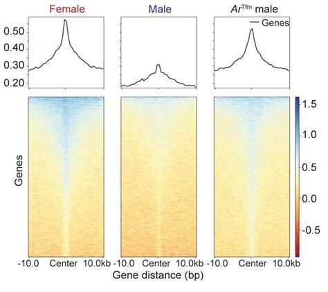 Sex Differences In Immune Mediated And Inflammatory Diseases Are Well Known But The Causes Of