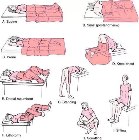 Dorsal Recumbent Position Definition Of Dorsal Recumbent Position By