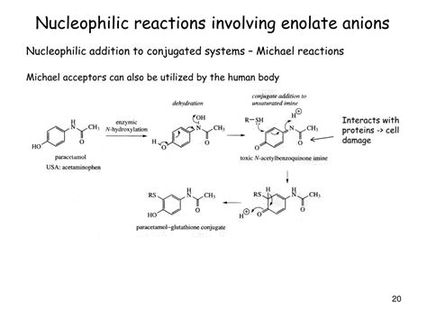 Ppt Nucleophilic Reactions Involving Enolate Anions 2 Powerpoint Presentation Id 2683608