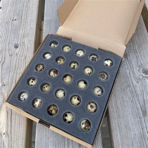 Hatching Quail Eggs Delivered Fresh Across The Uk Crowle Quail