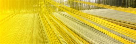 T City Update Ifsca Informal Guidance Scheme 2024 Sarthak Law Sarthak Advocates