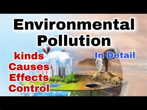 Environmental Degradation Cause And Effect Classification Of