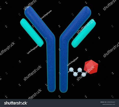 Antibody Drug Conjugates Over 61 Royalty Free Licensable Stock