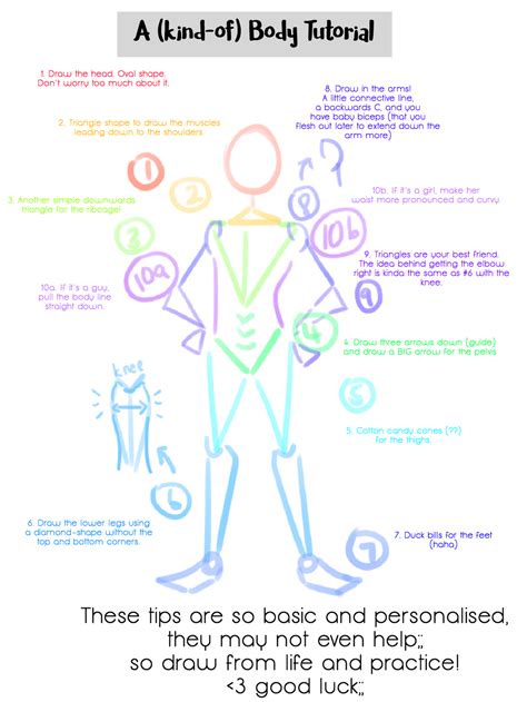 Body Tutorial By Susu Kei On DeviantArt