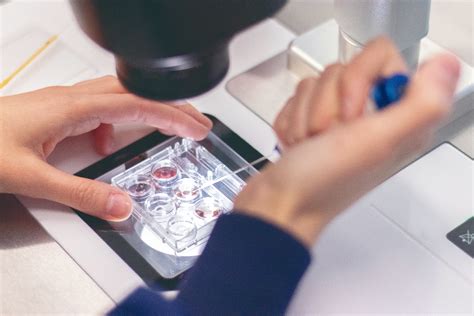 Should Icsi Be Included In Every Ivf Cycle