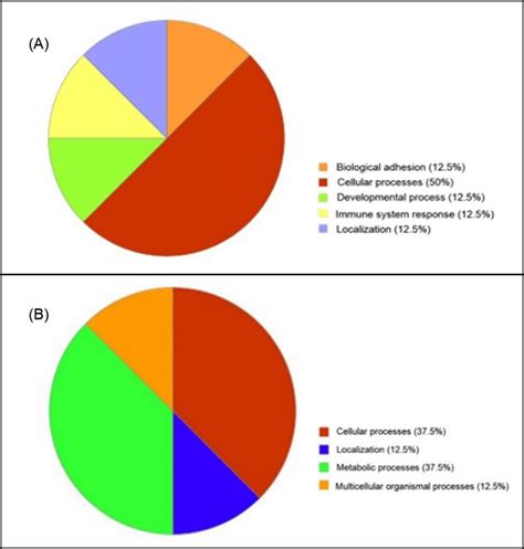 Pie Chart Representing The Proteins With Expressional Alteration In