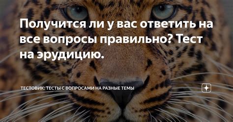 Получится ли у вас ответить на все вопросы правильно Тест на эрудицию Тестовик тесты с