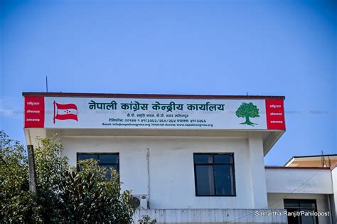 कांग्रेस संसदीय दलको नेता छान्न पुस ६ गते चुनाव