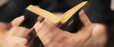 Mass Times Catholic Grenada