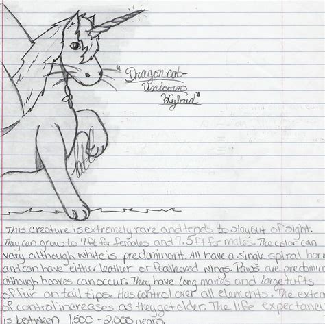 Dragon Cat Unicorn Hybrid By Dragnixcatc On Deviantart