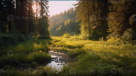 A Peaceful Forest Clearing Bathed In Warm Sunlight Surrounded By Tall Trees And Lush Foliage