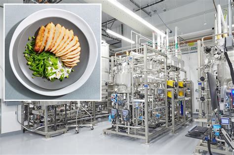 Lab Grown Meat Is Safe To Eat Fda Says — But Will It Revolutionize