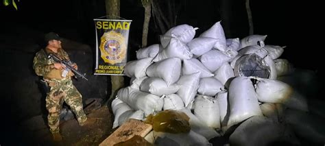 VIERNES SANTO CON TONELADAS DE MARIHUANA INCAUTADAS EN UN SOLO OPERATIVO Itapúa Noticias
