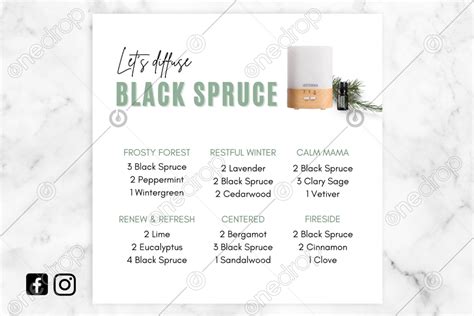 Black Spruce Diffuser Blends With Copy Text By Amy Schultz