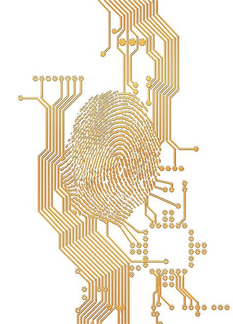 Biometric Security Photograph By Victor Habbick Visionsscience Photo