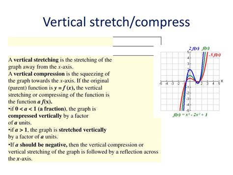 Difference Between Vertical Stretch And Vertical Compression At Mario Anderson Blog