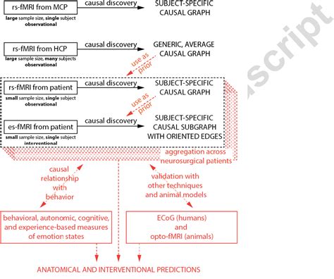 Figure 4 From Causal Mapping Of Emotion Networks In The Human Brain Framework And Initial