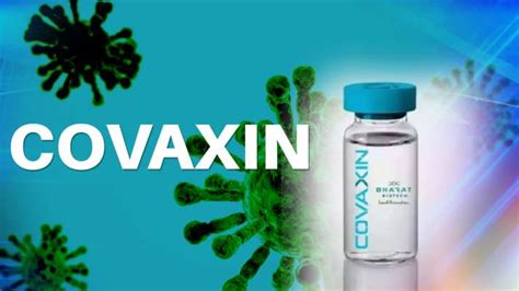 Covaxin India Indigenous Vaccine Has Drawn Global Attention Icmr