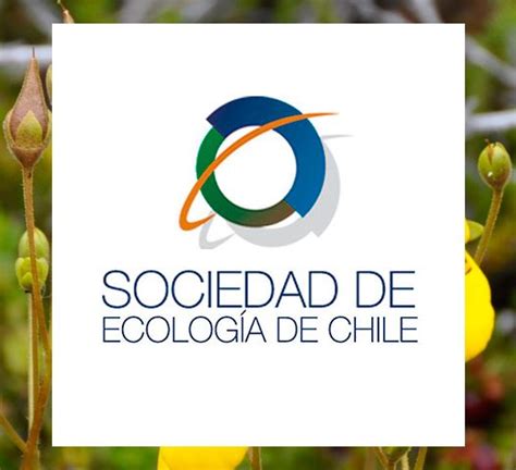 Crisis De La Biodiversidad En Sudamérica Sociedad De Ecología De Chile