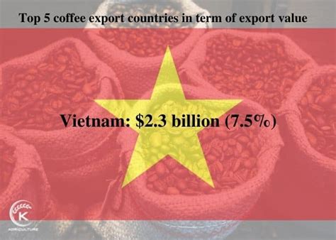 Top 5 Coffee Export Countries In The World 2025 K Agriculture
