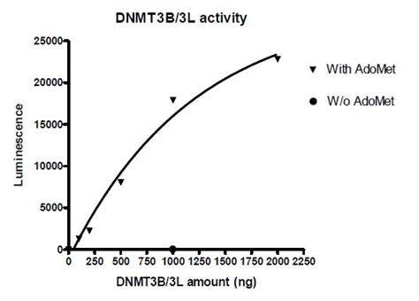 Dnmt3b Chemiluminescent Assay Kit
