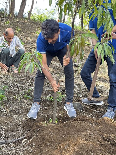 Mohammad Arafath On Linkedin Treeplantation Sustainability