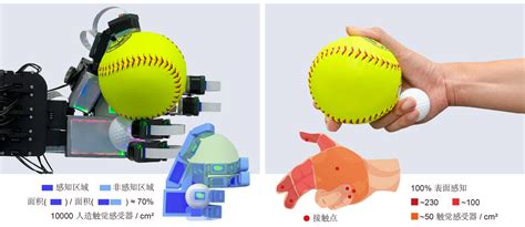 北京大学人工智能研究院朱毅鑫课题组及合作者在高分辨率触觉感知机器人手领域取得重要进展 好学术