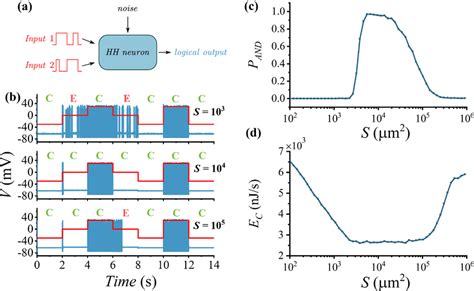 A Schematic Representation Of Logical Stochastic Resonance In Hh Download Scientific Diagram
