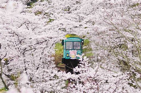 船岡城址公園 景點指南、常見問題、星評、周邊景點 And 交通資訊 好運日本行