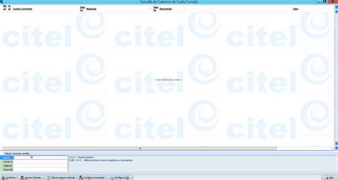 Validar Dados De Autorização Para Uso Do Pix Citel Documentação Citel