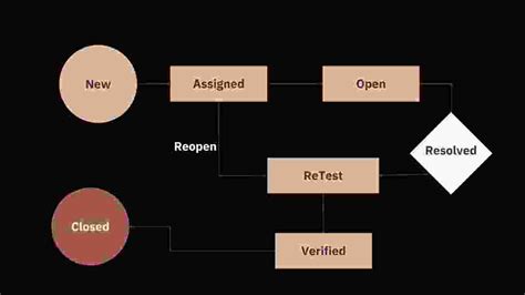Qa Process