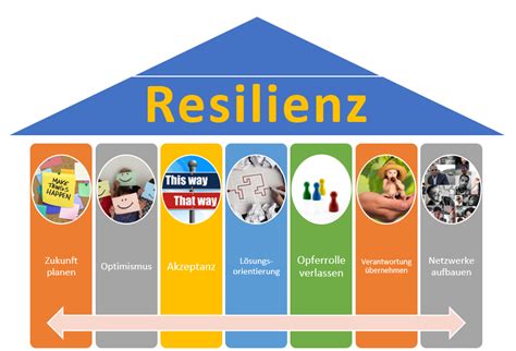 Die 7 Säulen Der Resilienz Säule 7 Netzwerkorientierung Stefanie Dinges