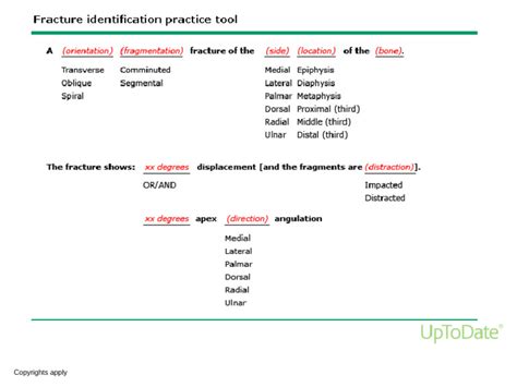 Fracture Identification Practice Tool Pdf