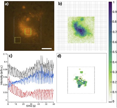 Human Brain Tissue Imaging Results A Ground Truth Microscope Image