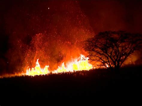G1 Incêndio atinge canavial às margens de rodovia em São Simão SP