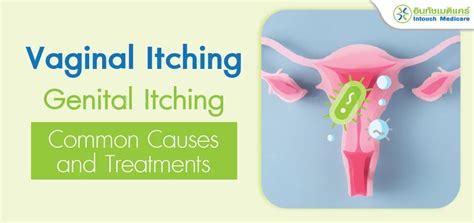 Vaginal Itching Female Genital Itching Causes And Treatments That Girls