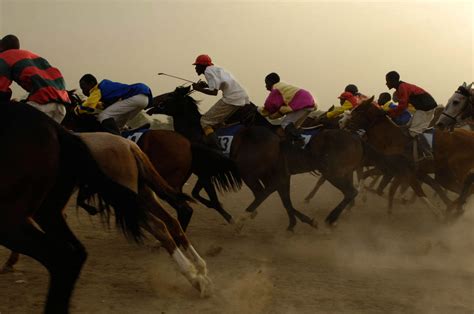 Frederic Noy — Panos Pictures