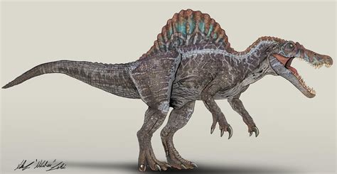 Jurassic Park Spinosaurus By Nikorex On Deviantart Velociraptor