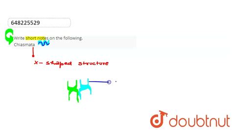 Write Short Notes On The Following Chiasmata Class 10 Cell Division