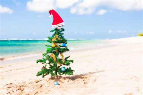 Santas Summer Surprise
