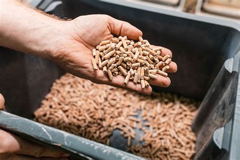 Holzpellets Schemmerhofen 🪵 Regional And Enplus Zertifiziert