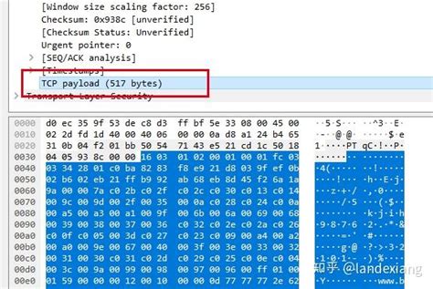 （五）抓包了解tls握手流程 知乎