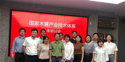 国家木薯产业技术体系标准研讨会 新闻动态 国家木薯产业技术体系信息平台