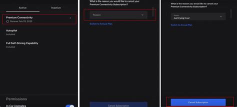 Tesla Premium Connectivity Full Reviewand Installtion
