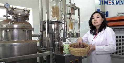 ХИМИ ХИМИЙН ТЕХНОЛОГИЙН ХҮРЭЭЛЭН МОД БЭЛТГЭЛИЙН ХАЯГДЛААС ГАРЧ БАЙГАА НАРСНЫ ШИЛМҮҮСИЙГ