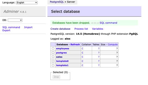 Guía Para Crear Bases De Datos Con Postgres Kinsta®