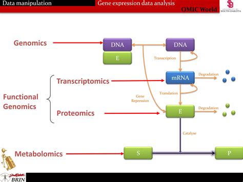 Lab Gene Expression Data Analysis Pptx