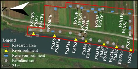 Schematic Diagram Of Sampling Site Layout And Surrounding Environment