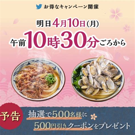 丸亀製麺【公式】 On Twitter ／ キャンペーン予告🌸 明日1030から！ 500円引きクーポンが抽選で500名様に当たる