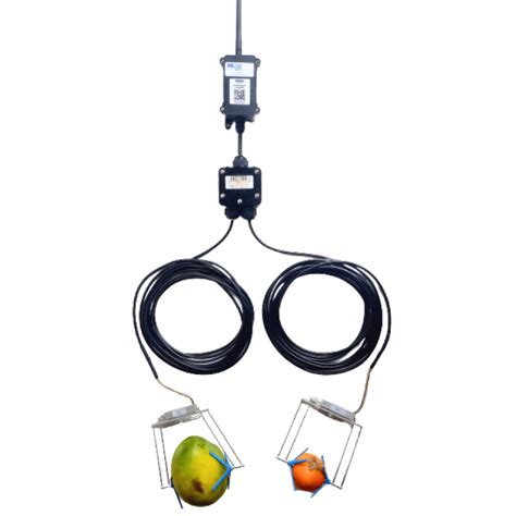 Dendrómetro De Frutos Andes Technologies